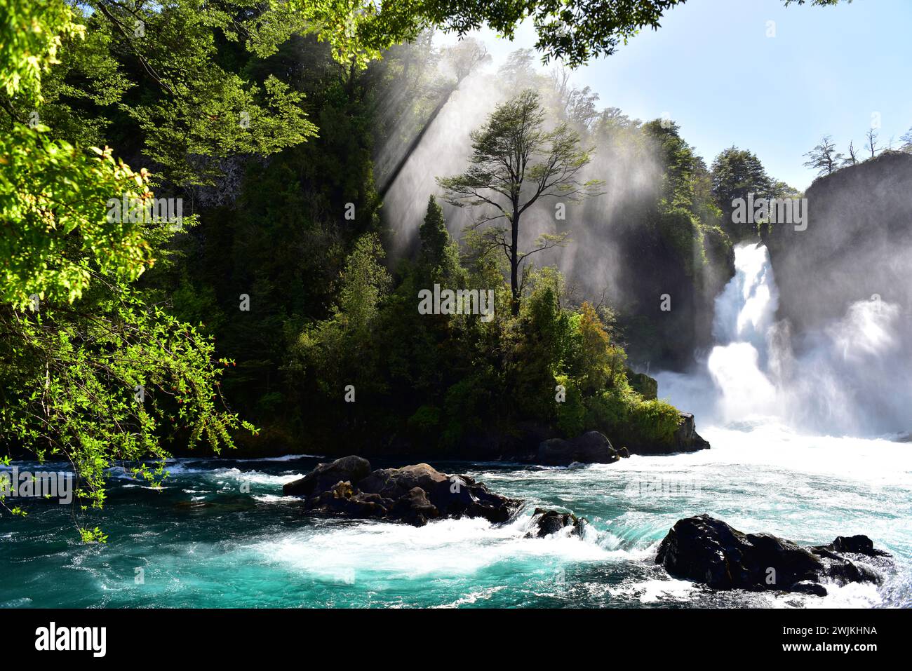 Valdivian temperate forest, Huilo-Huilo waterfall and Fuy River. Huilo ...