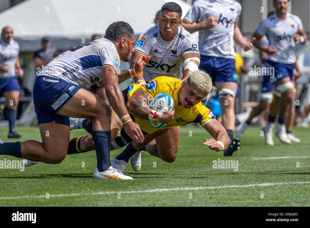 Moana pasifika super rugby pacific hi-res stock photography and images ...