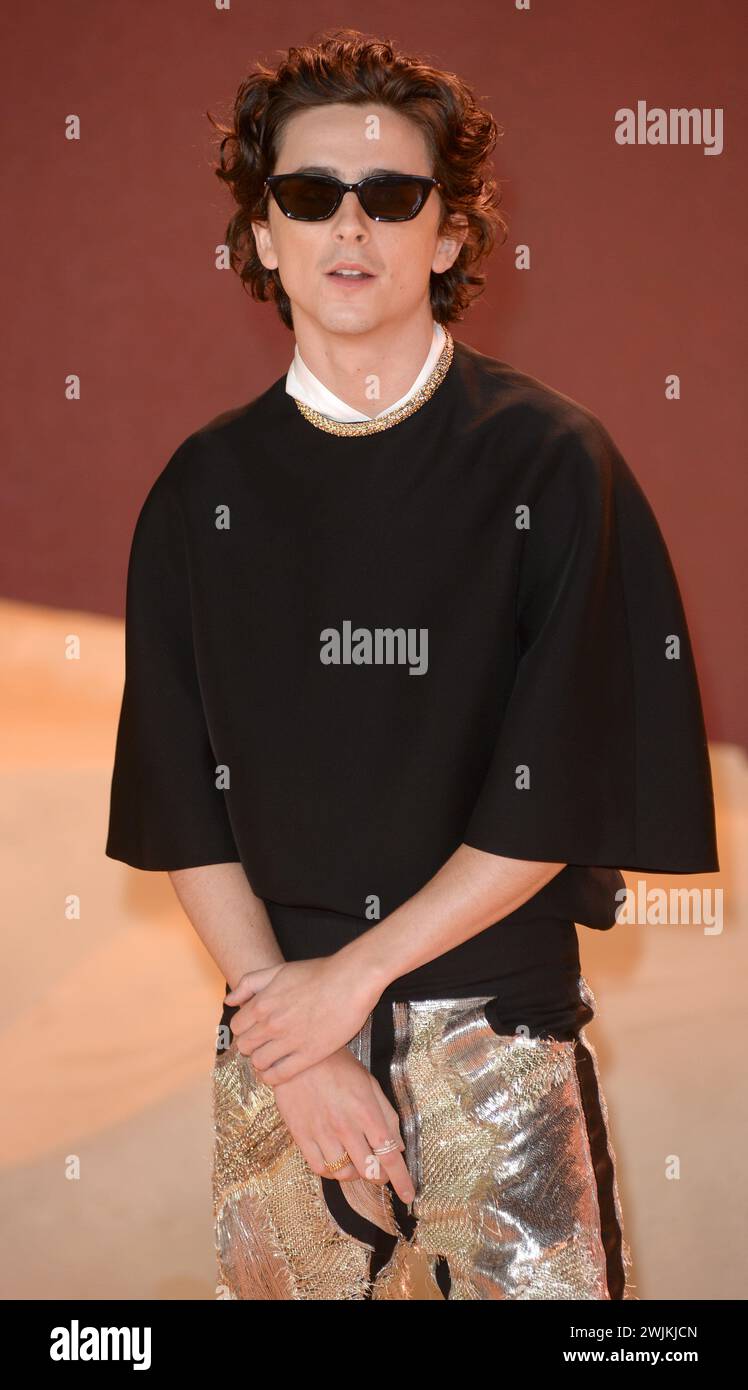 Photo Must Be Credited ©Alpha Press 078237 15/02/2024 Timothee Chalamet ...
