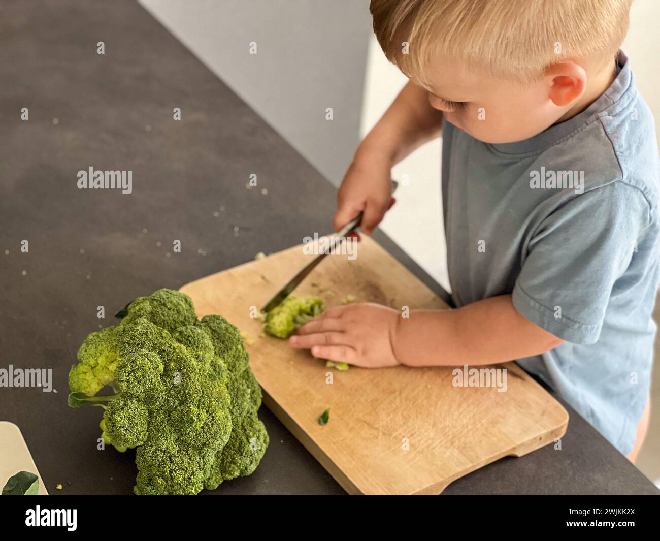 Close up of hands of a little boy cutting fresh broccoli with a kids ...
