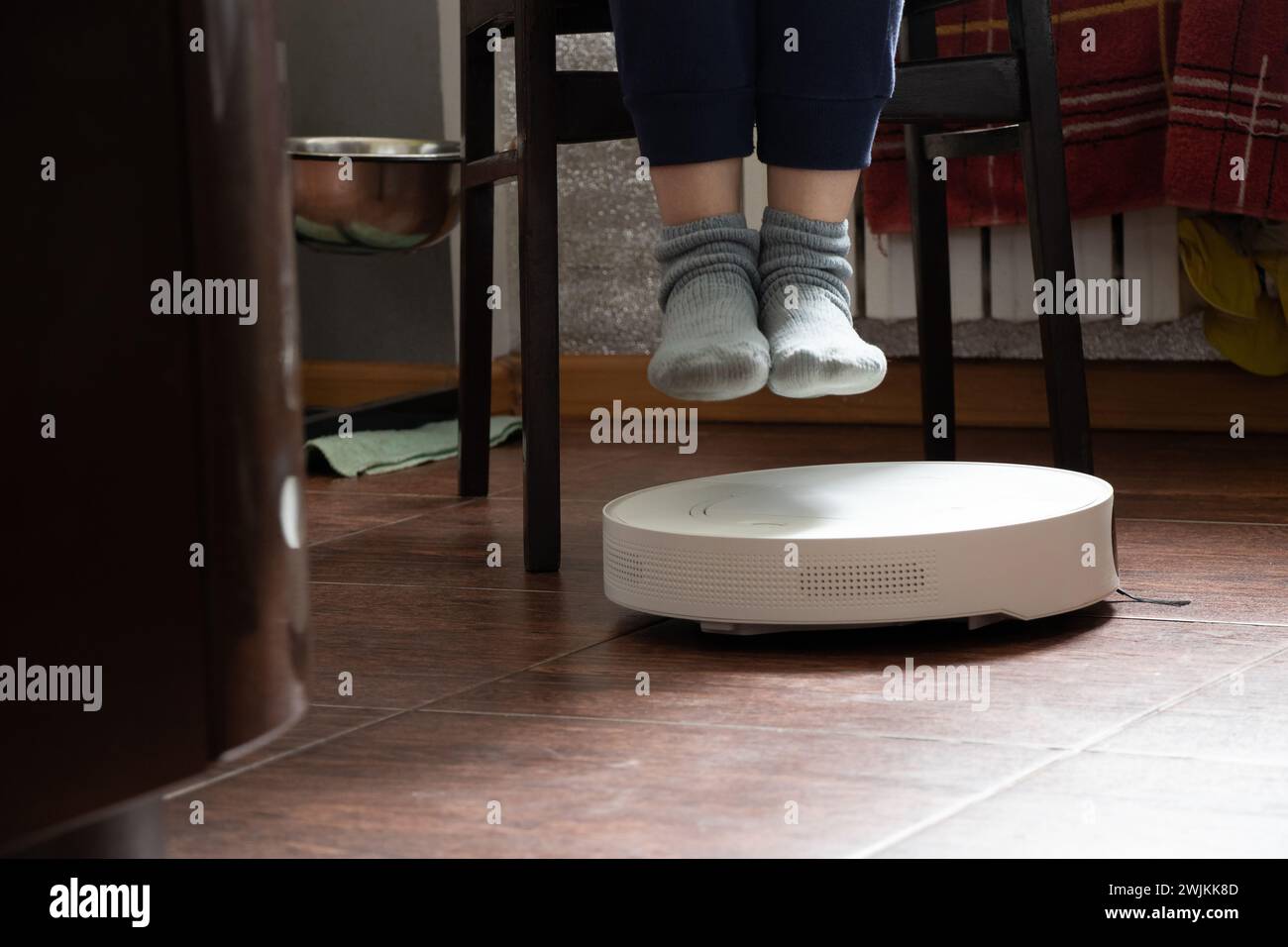 Female legs and a robot vacuum cleaner on the floor doing cleaning in ...