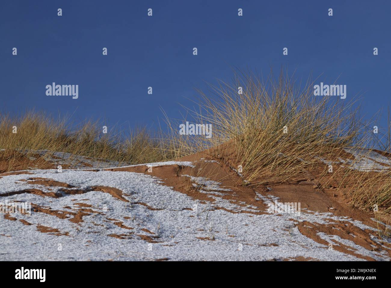 Snow on sand and dunes Stock Photo - Alamy
