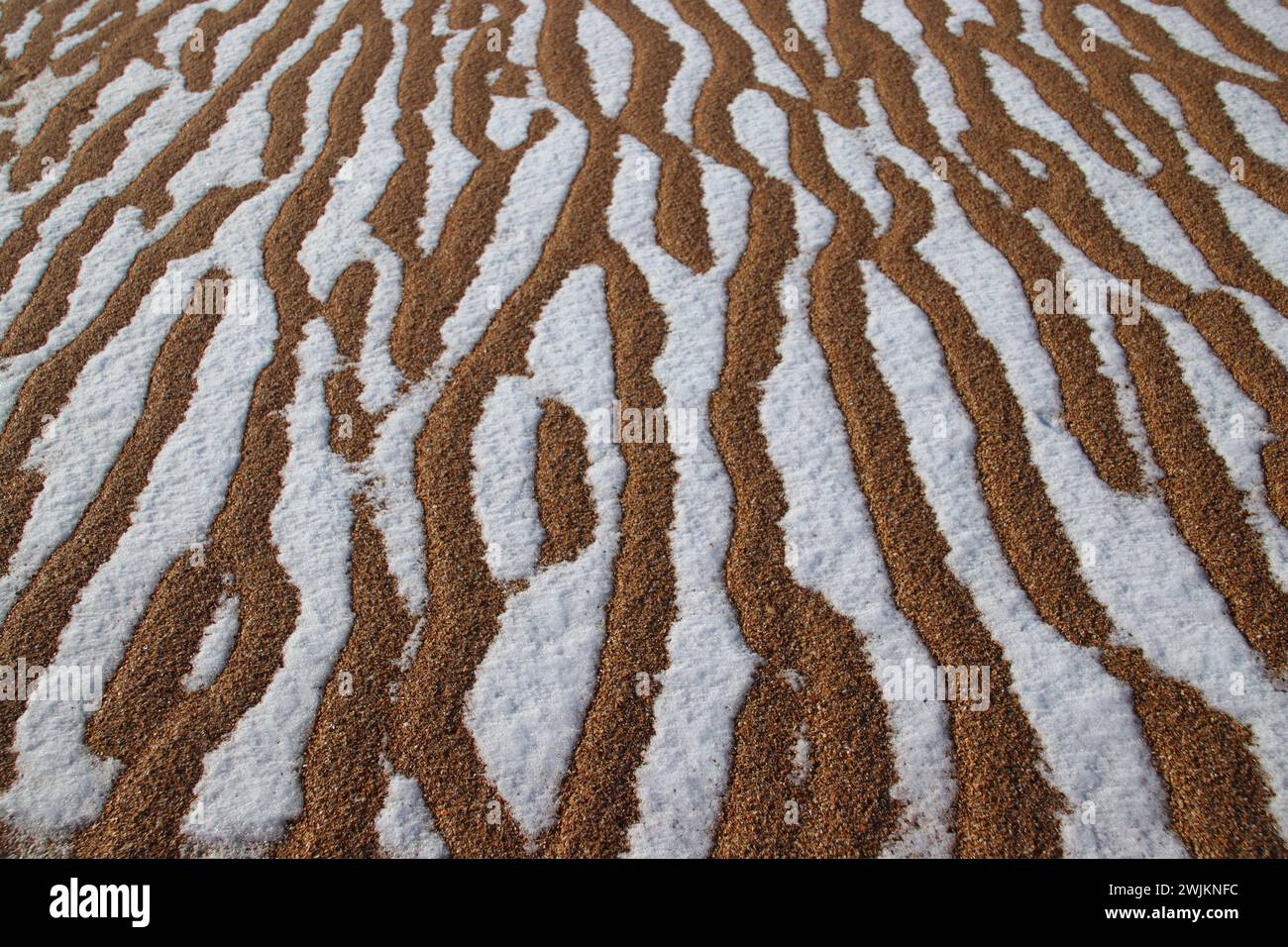 Snow on sand and dunes Stock Photo - Alamy