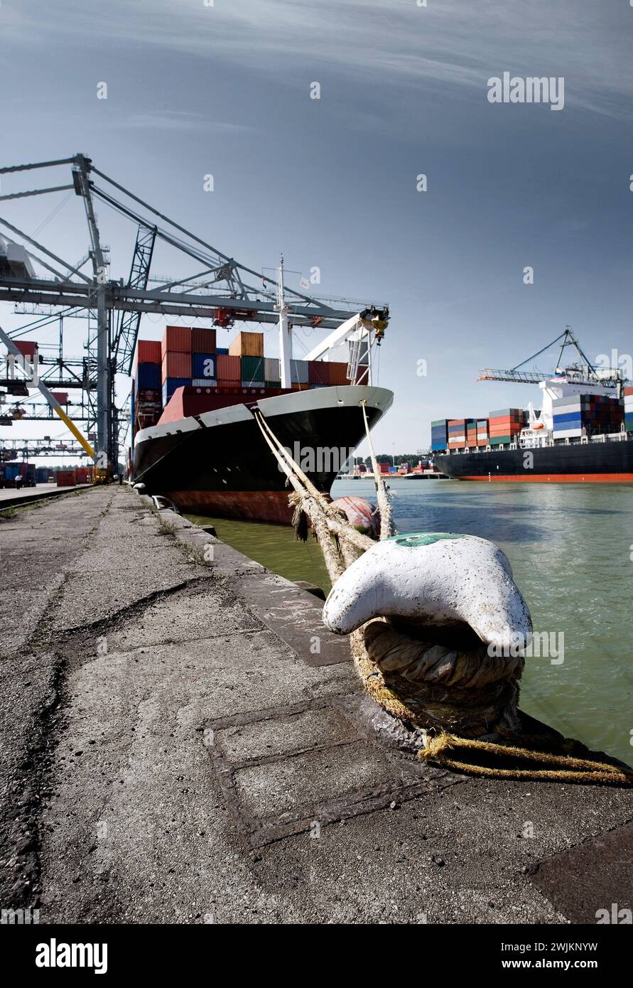 Deadhead hi-res stock photography and images - Alamy