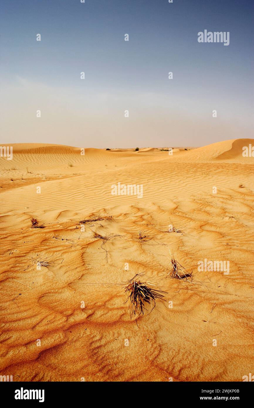 Desert in the middle east Stock Photo - Alamy
