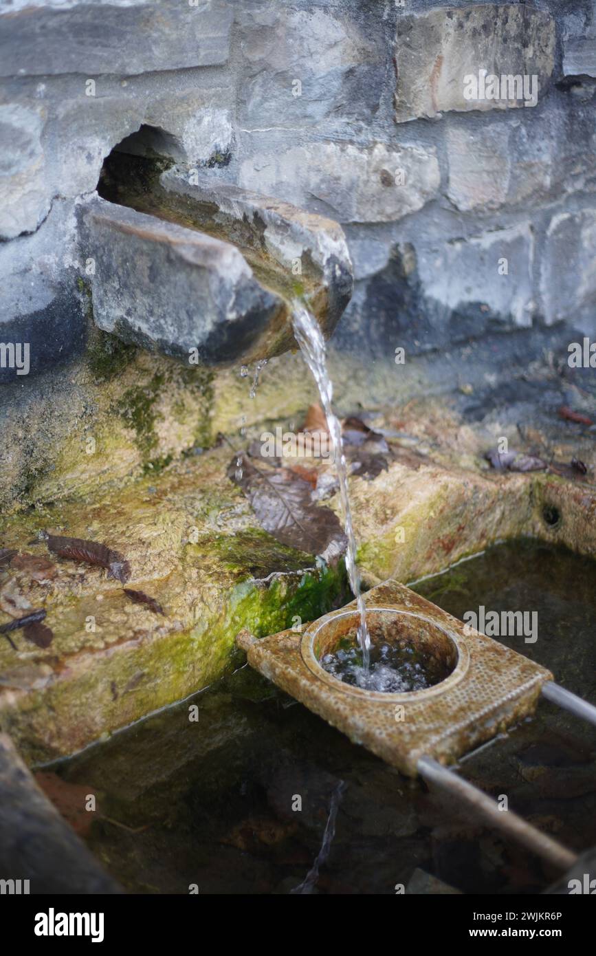 A person in a green sweater is collecting clean water into a plastic ...