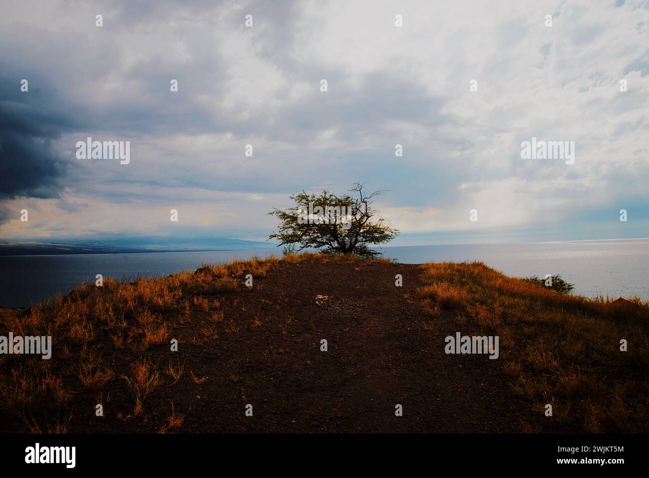 Ocean bluff view hi-res stock photography and images - Alamy