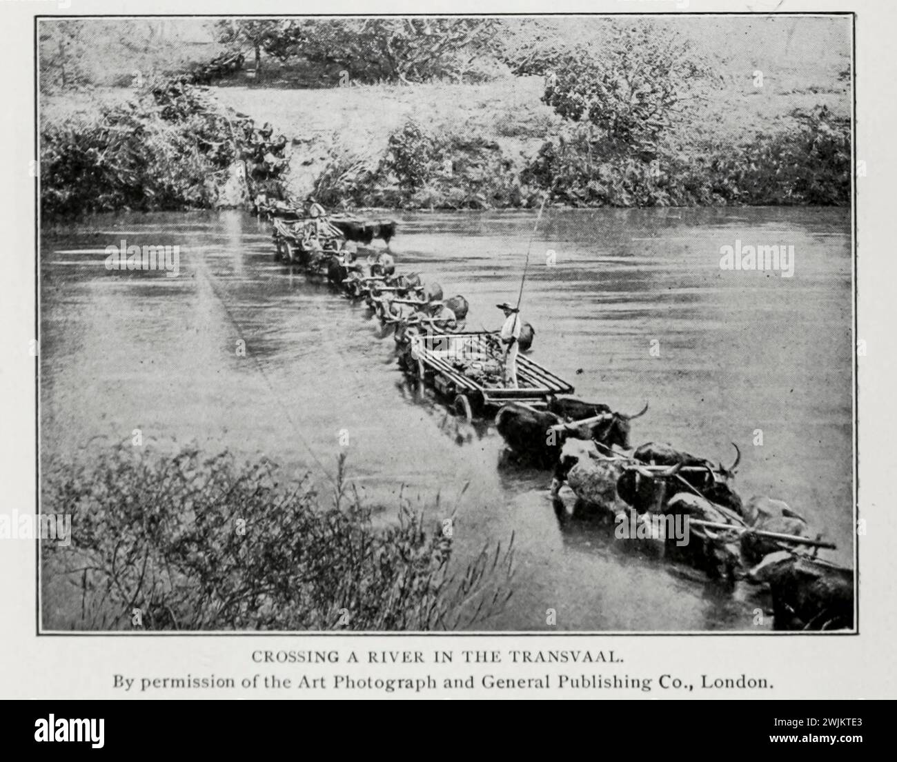 Crossing a river in Transvaal; from the Article THE GOLD MINES OF THE ...
