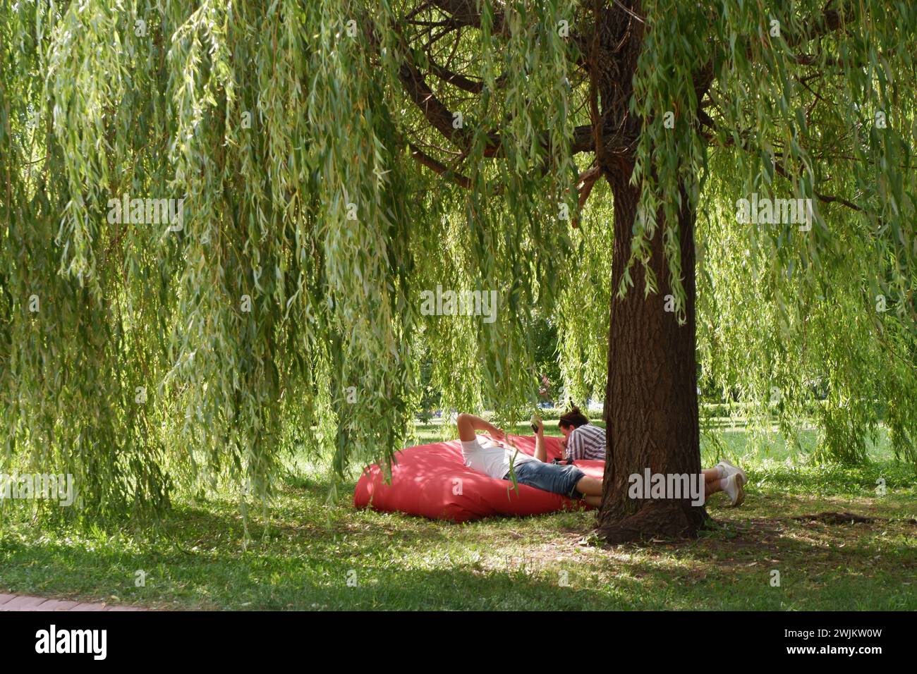Under the willow tree hi-res stock photography and images - Alamy