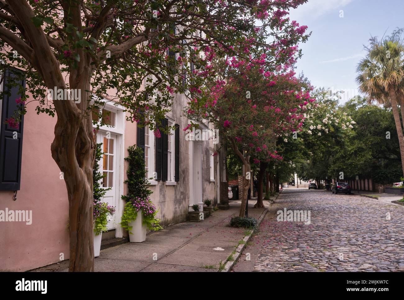 Blooming Trees Along Historic Cobblestone Church Street Stock Photo - Alamy
