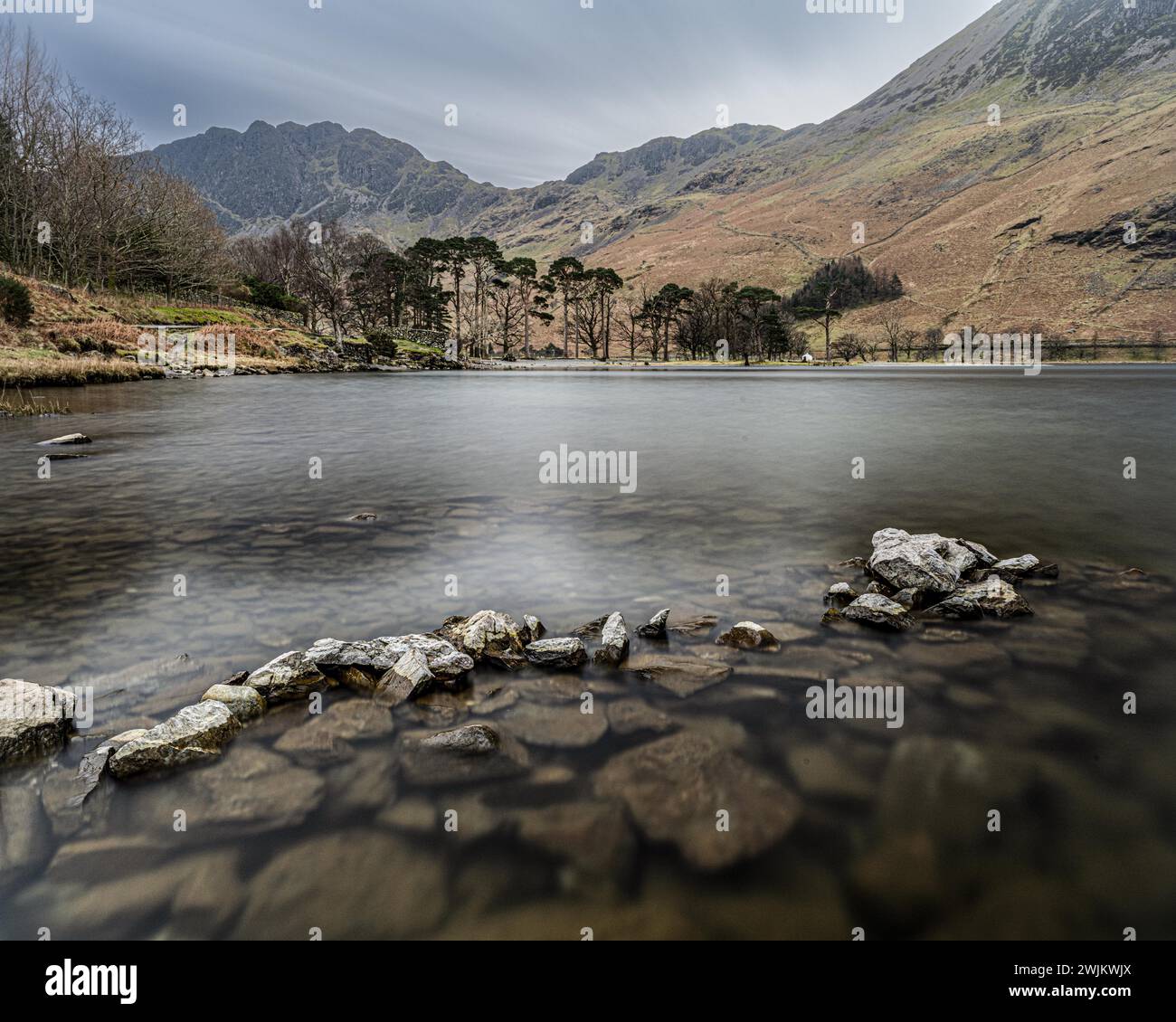 Buttermere lone tree hi-res stock photography and images - Alamy