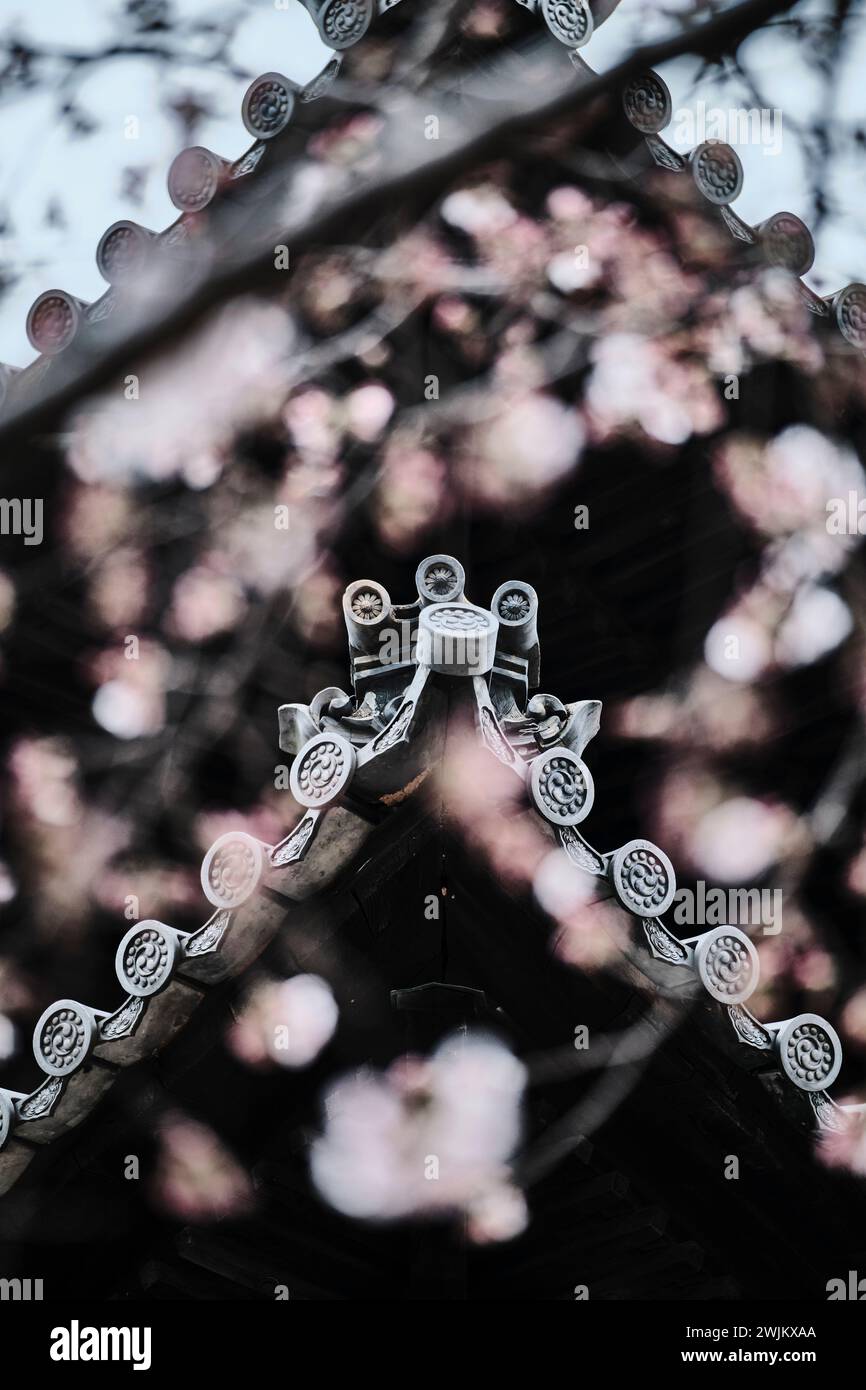 Buddhist temple spring hi-res stock photography and images - Alamy