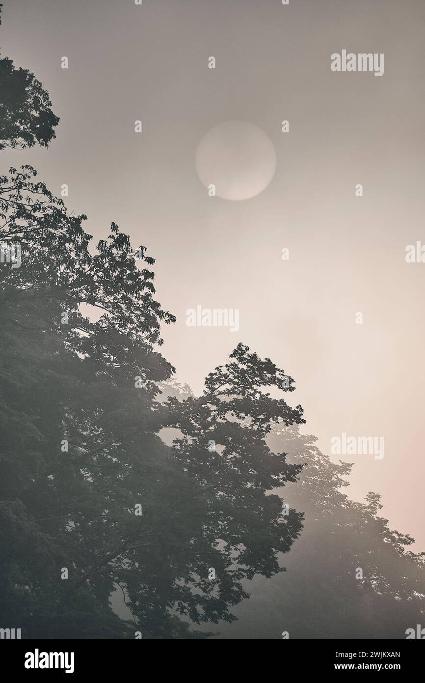 Sunrise through mist hi-res stock photography and images - Alamy