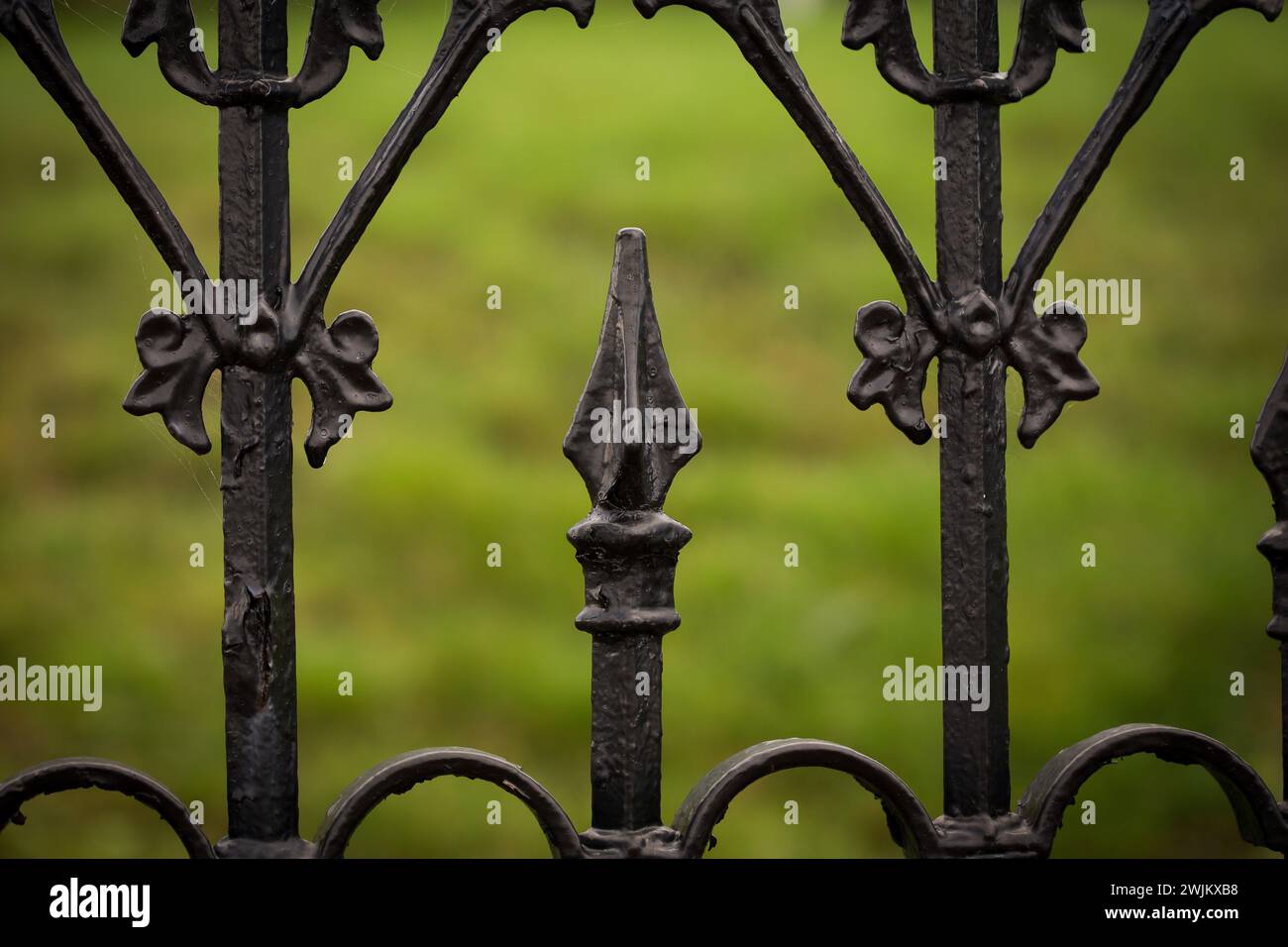 Black wrought iron fence design Stock Photo - Alamy