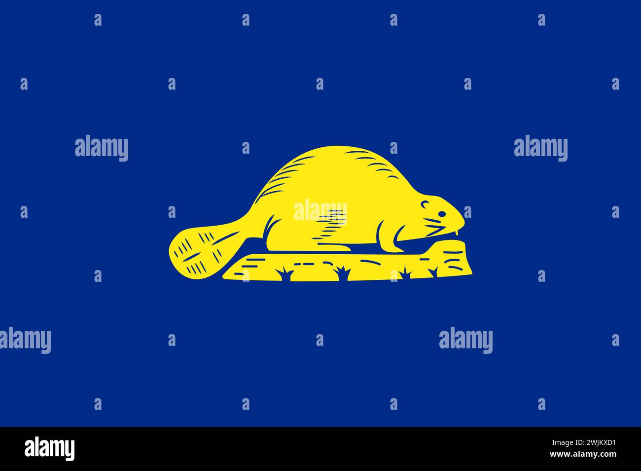 State flag of Oregon reverse side Stock Photo - Alamy