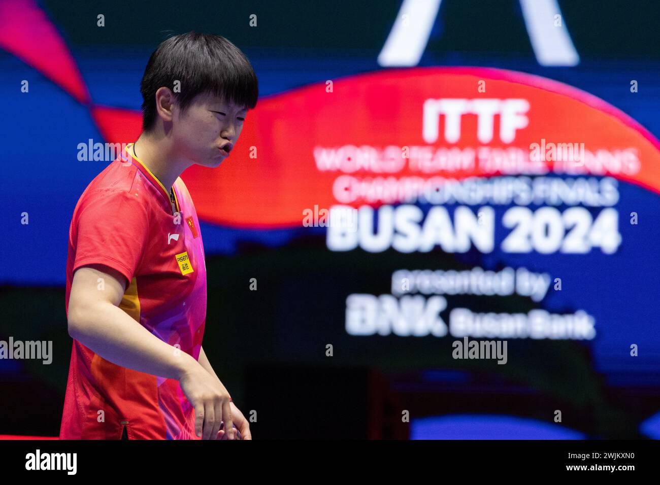 Busan, South Korea. 16th Feb, 2024. Sun Yingsha of China reacts while competing against Manika ...
