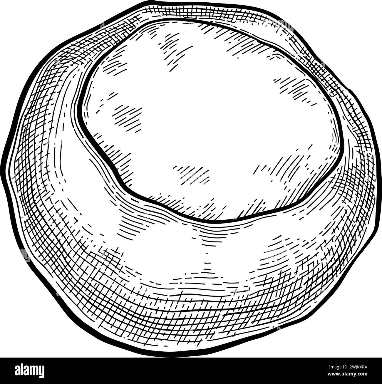 Hazelnut, hard shelled filberts. Whole scattered cobnuts composition ...