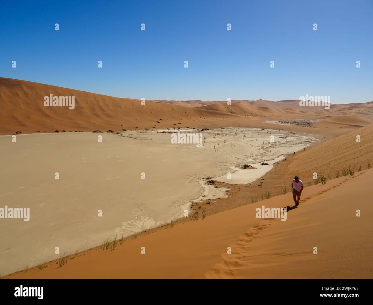 Namibia Namib Desert Sossusvlei. Man walking up a dune next to the ...