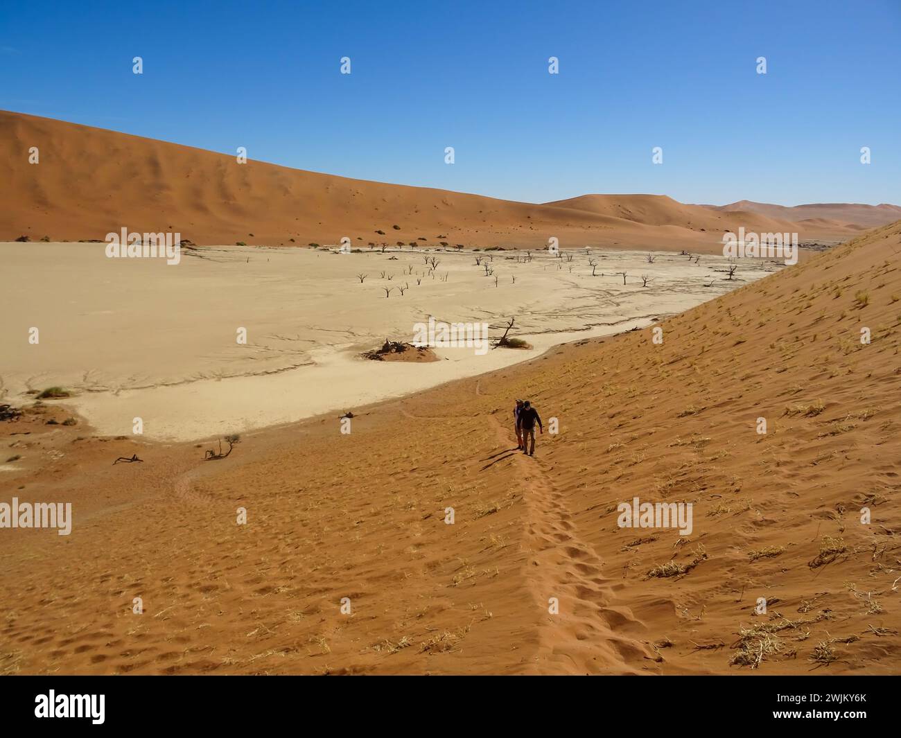 Namibia Namib Desert Sossusvlei. Two Men walking up a dune next to the ...