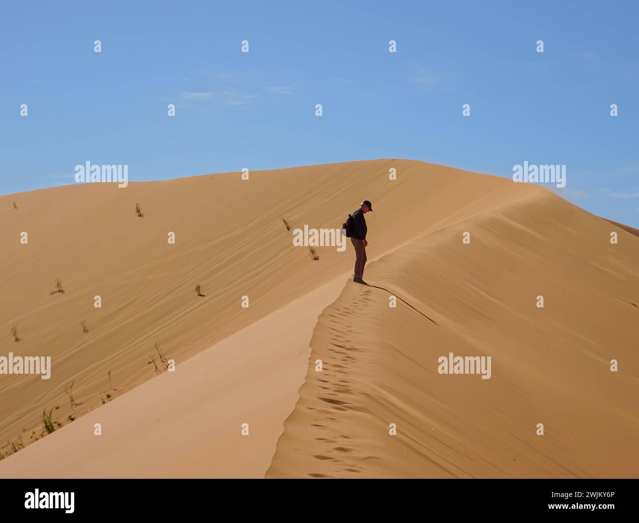 Old namibian man hi-res stock photography and images - Alamy