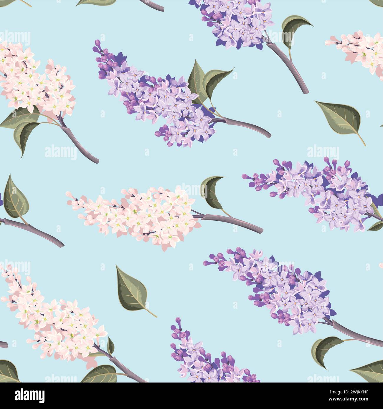 Spring lilac Stock Vector Images - Alamy