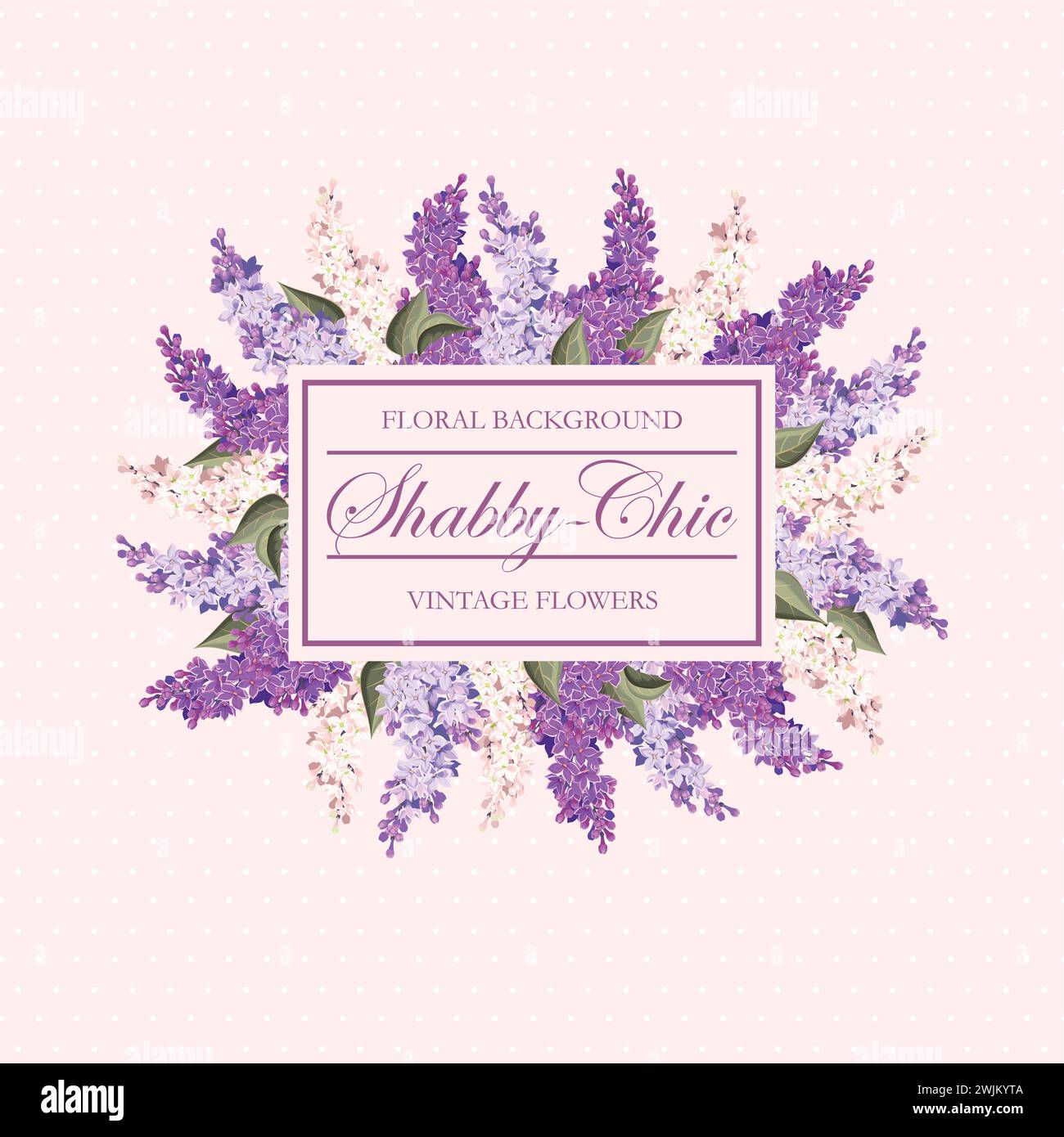 Vintage card with lilac Stock Vector Image & Art - Alamy