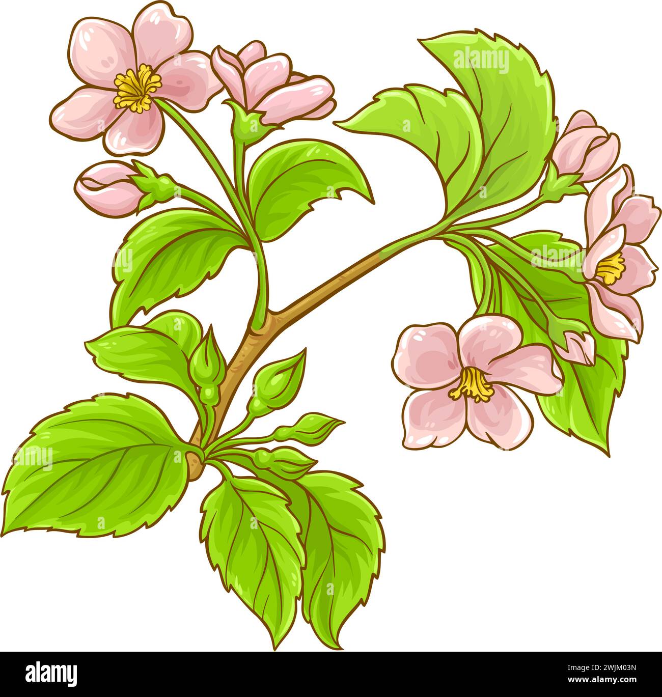 Single flower leafy background Stock Vector Images - Alamy