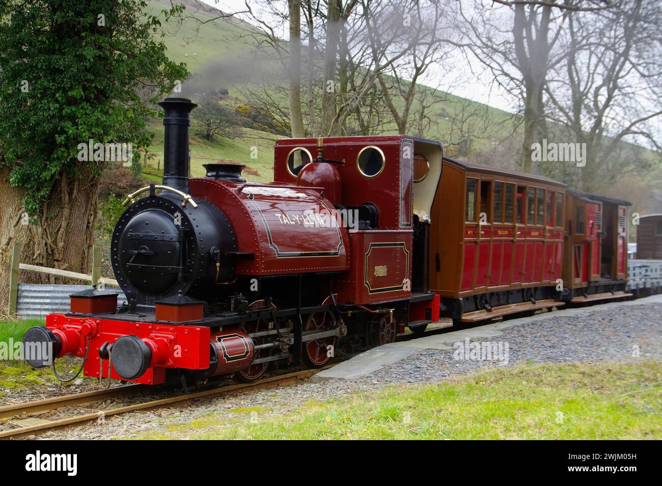 Narrow Gauge, Steam Locomotive, No 1, Tal y Llyn Stock Photo - Alamy