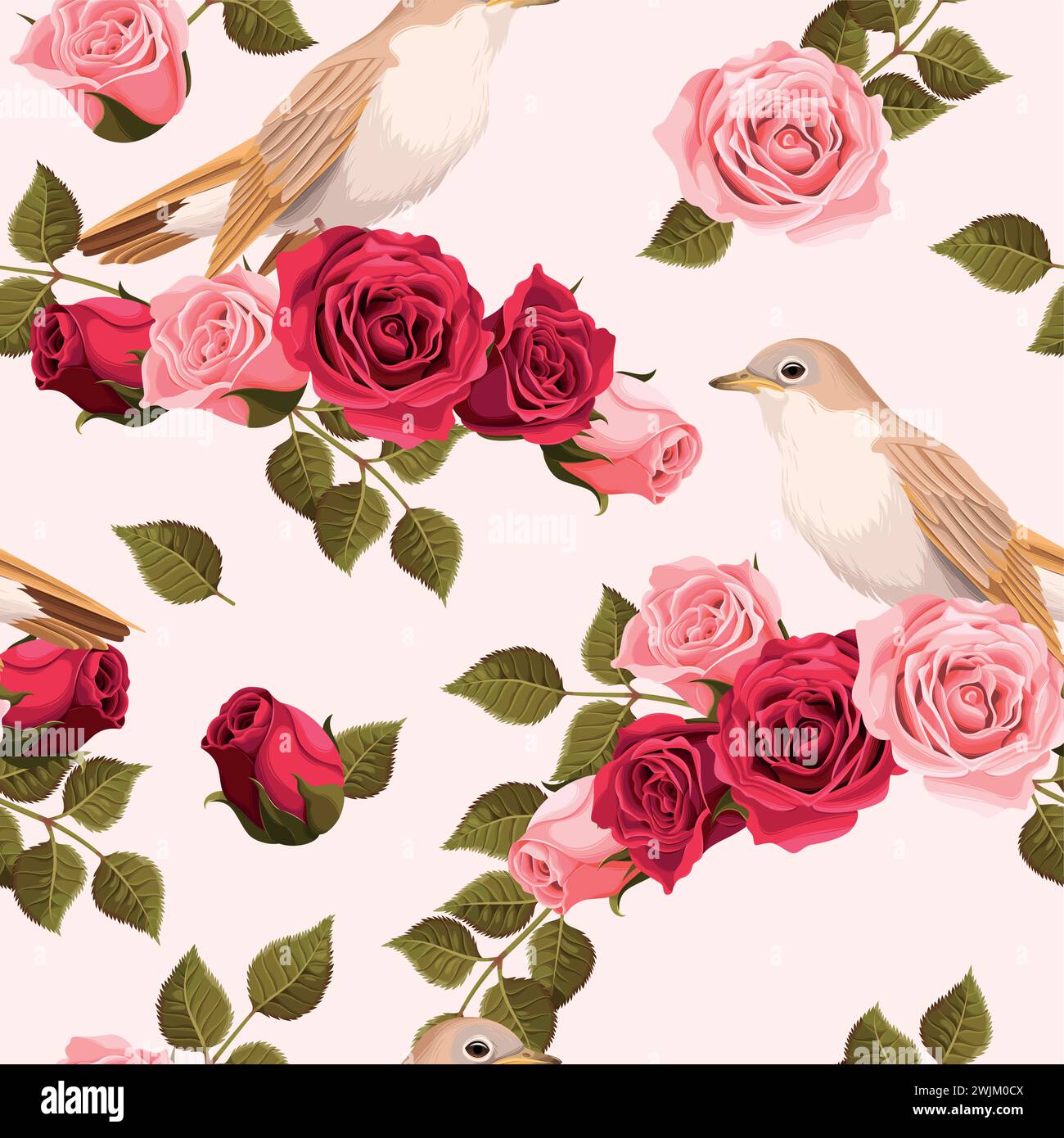 The nightingale and the rose hi-res stock photography and images - Alamy