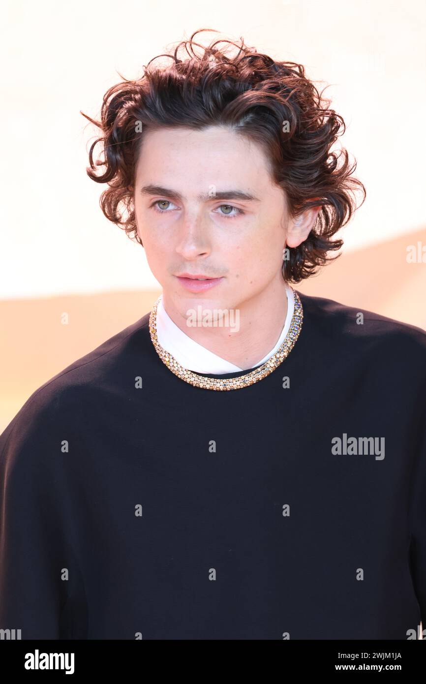 Timothee Chalamet, Warner Bros. Pictures & Legendary Present the World ...