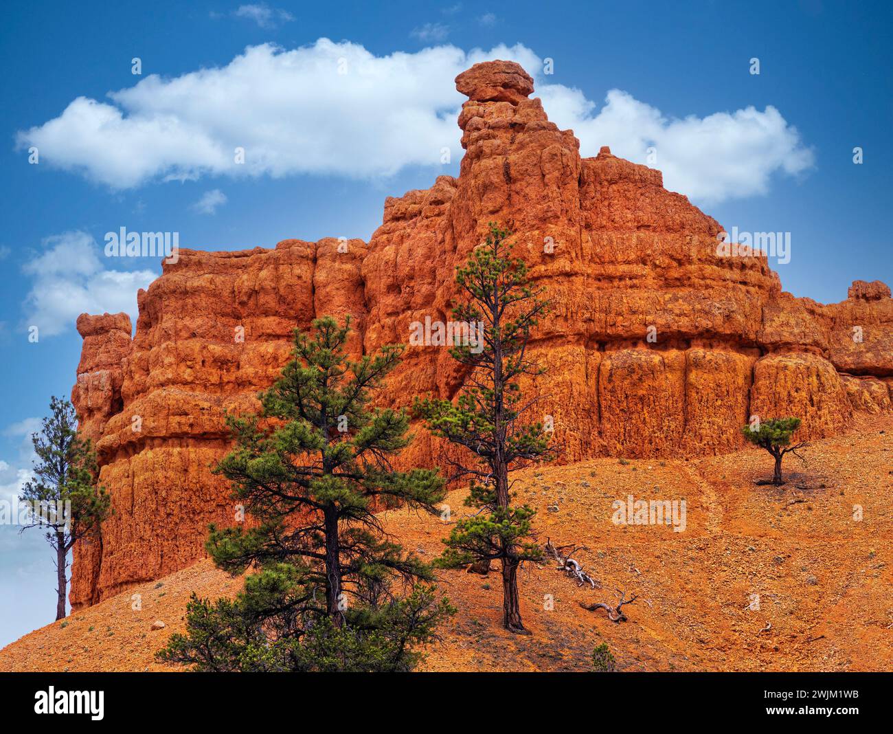 Red Canyon. Dixie National Forest. Utah. USA Stock Photo - Alamy