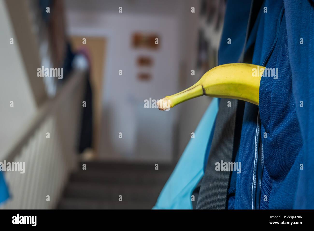 Culinary fruit jacket hi-res stock photography and images - Alamy