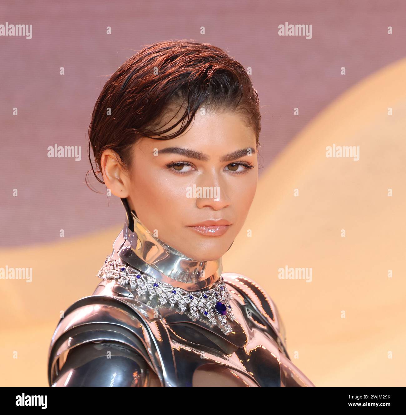 Zendaya, Warner Bros. Pictures & Legendary Present the World Premiere ...