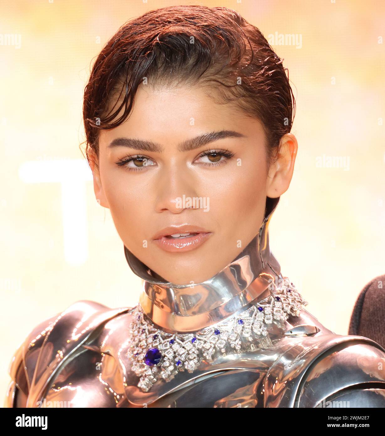 Zendaya, Warner Bros. Pictures & Legendary Present the World Premiere ...