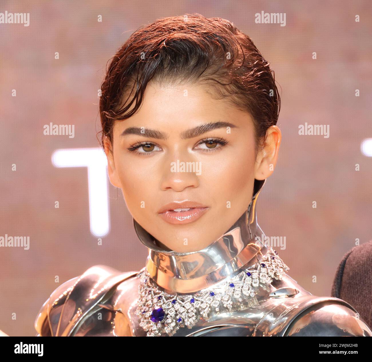 Zendaya, Warner Bros. Pictures & Legendary Present the World Premiere ...