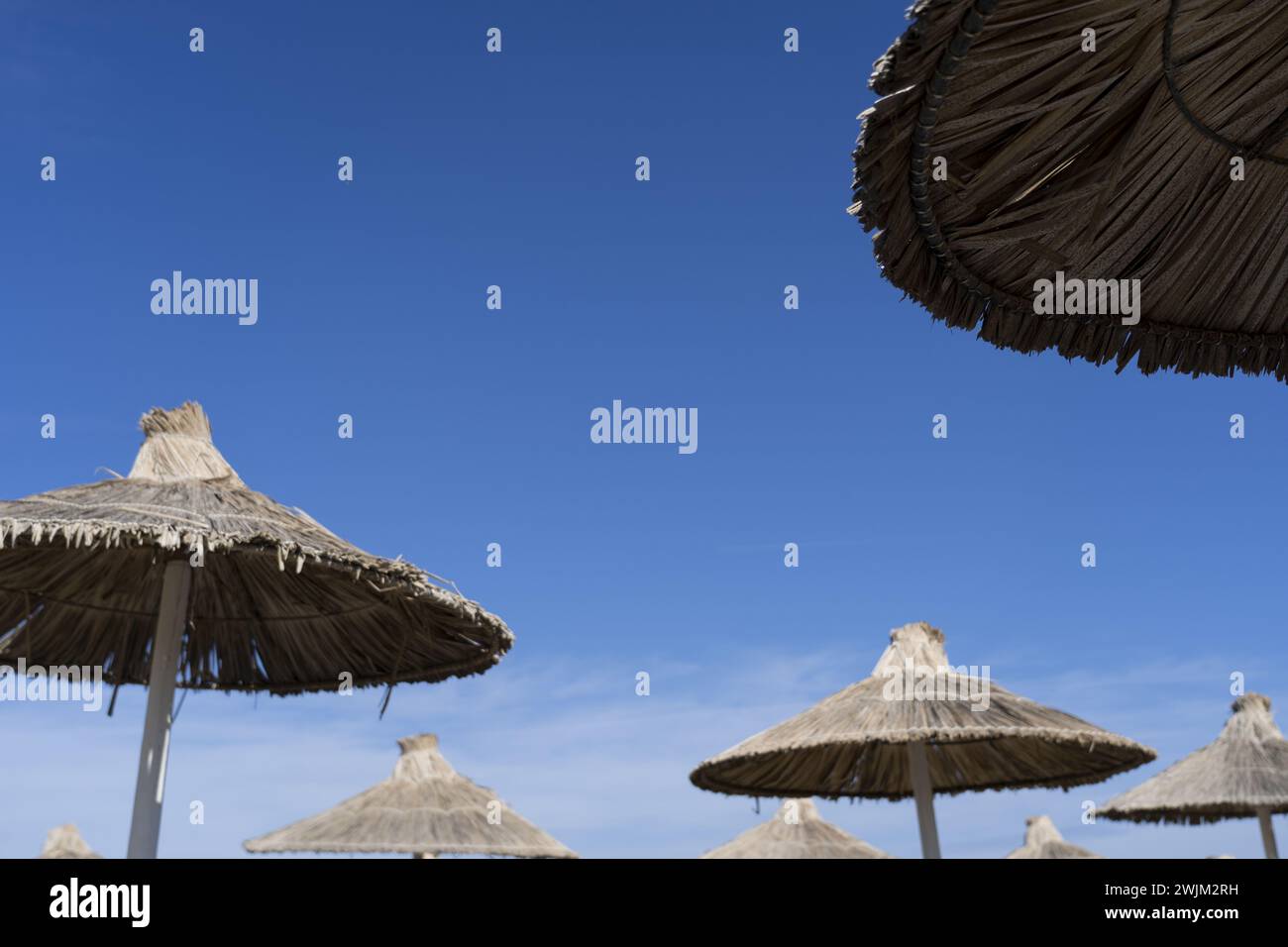 Beach straw umbrellas Stock Photo - Alamy