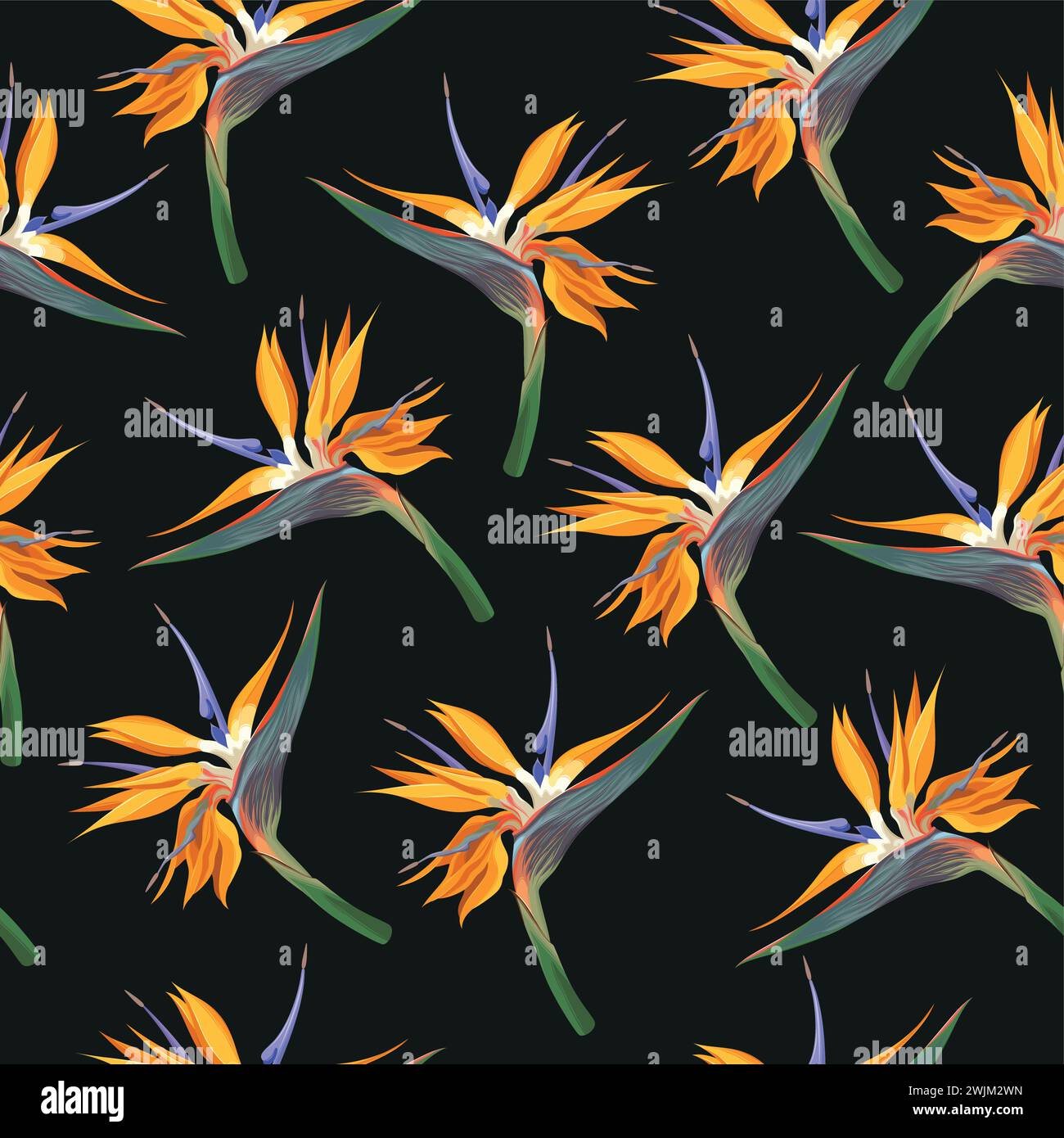 Jungle flowers seamless Stock Vector Image & Art - Alamy