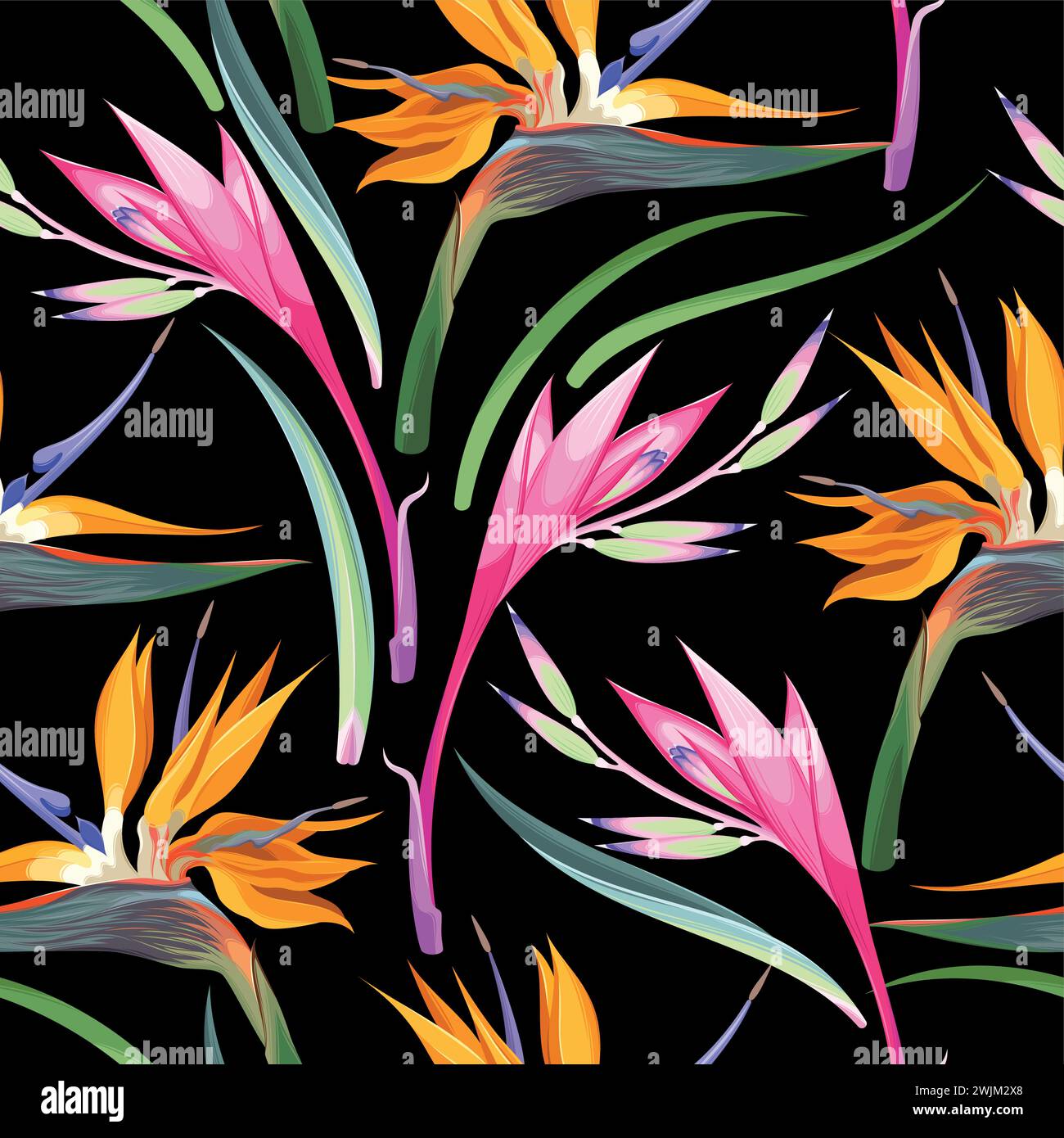 Jungle flowers seamless Stock Vector Image & Art - Alamy