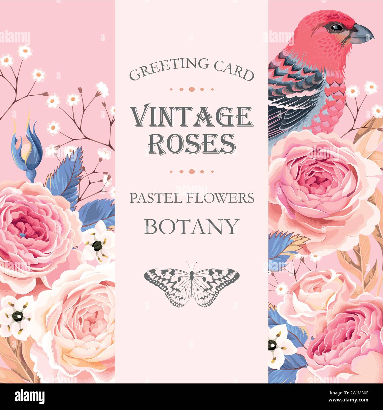 Pink grosbeak Stock Vector Images - Alamy