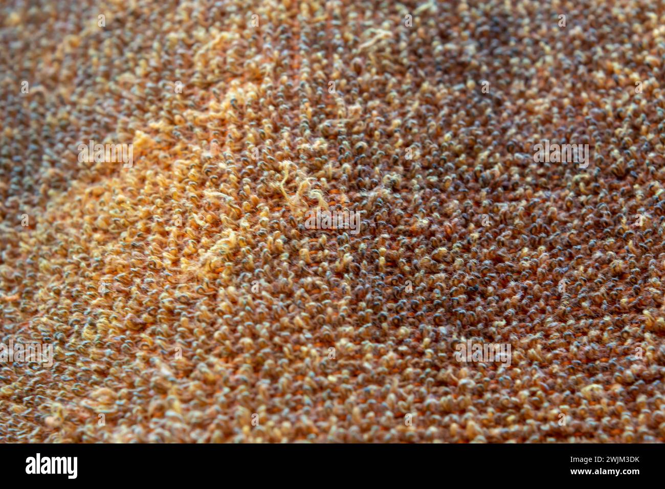 Blur object for background with nature theme Stock Photo - Alamy