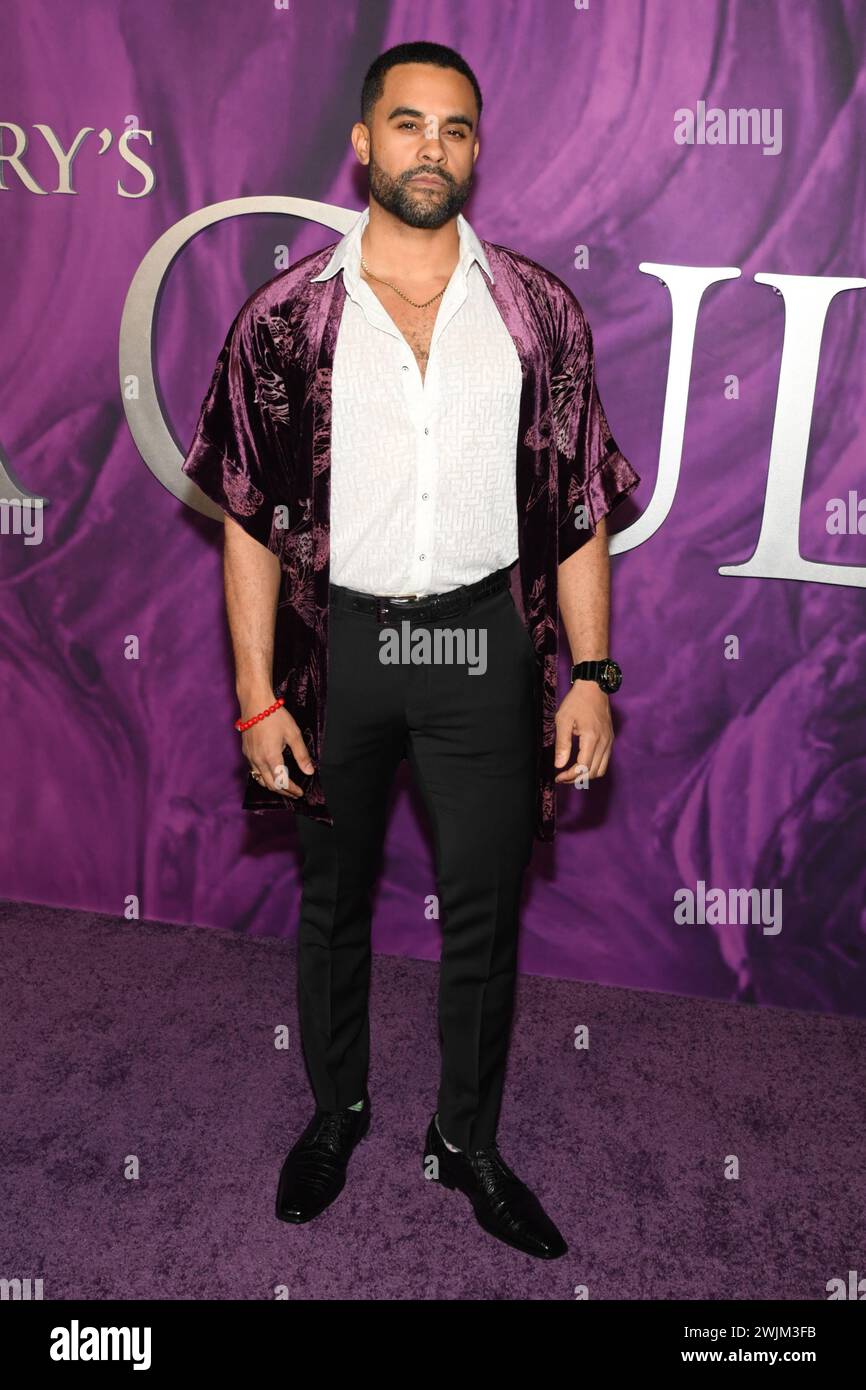 New York, USA. 15th Feb, 2024. Nathan Witte attending Tyler Perry's Mea ...