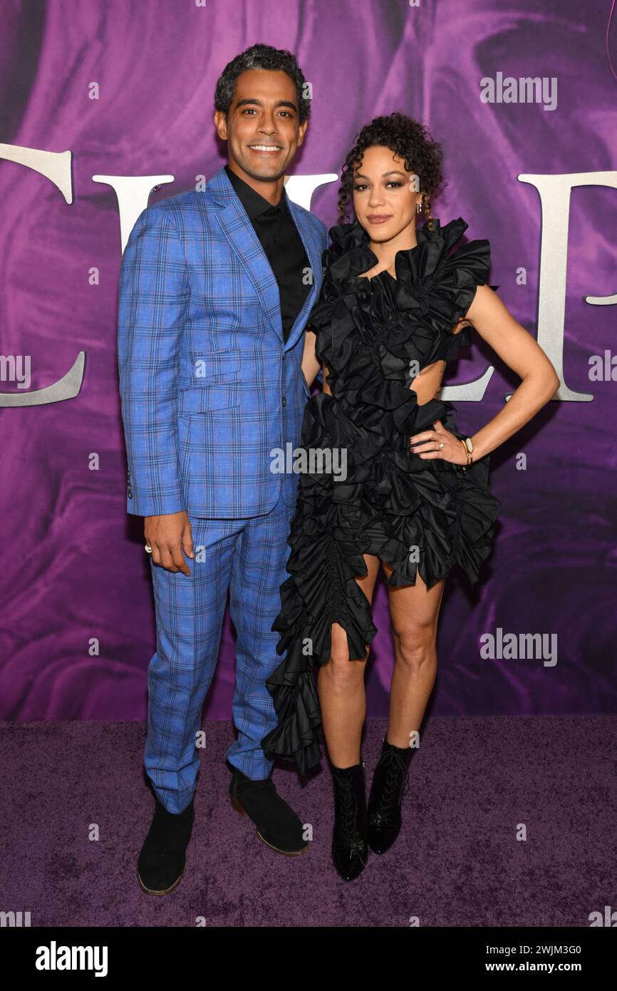 New York, USA. 15th Feb, 2024. Nick Sagar attending Tyler Perry's Mea ...