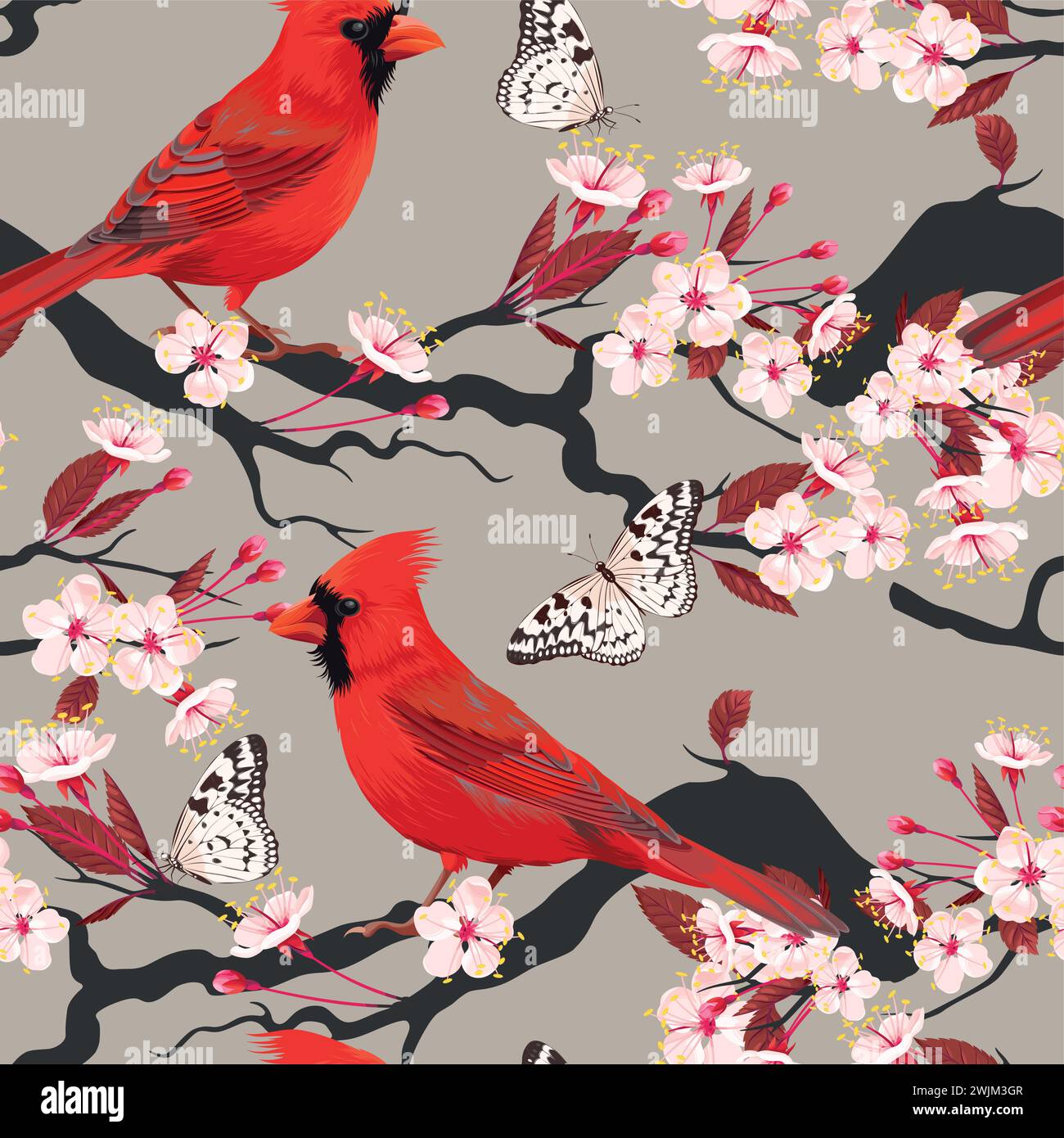 Cardinal flower vector hi-res stock photography and images - Alamy