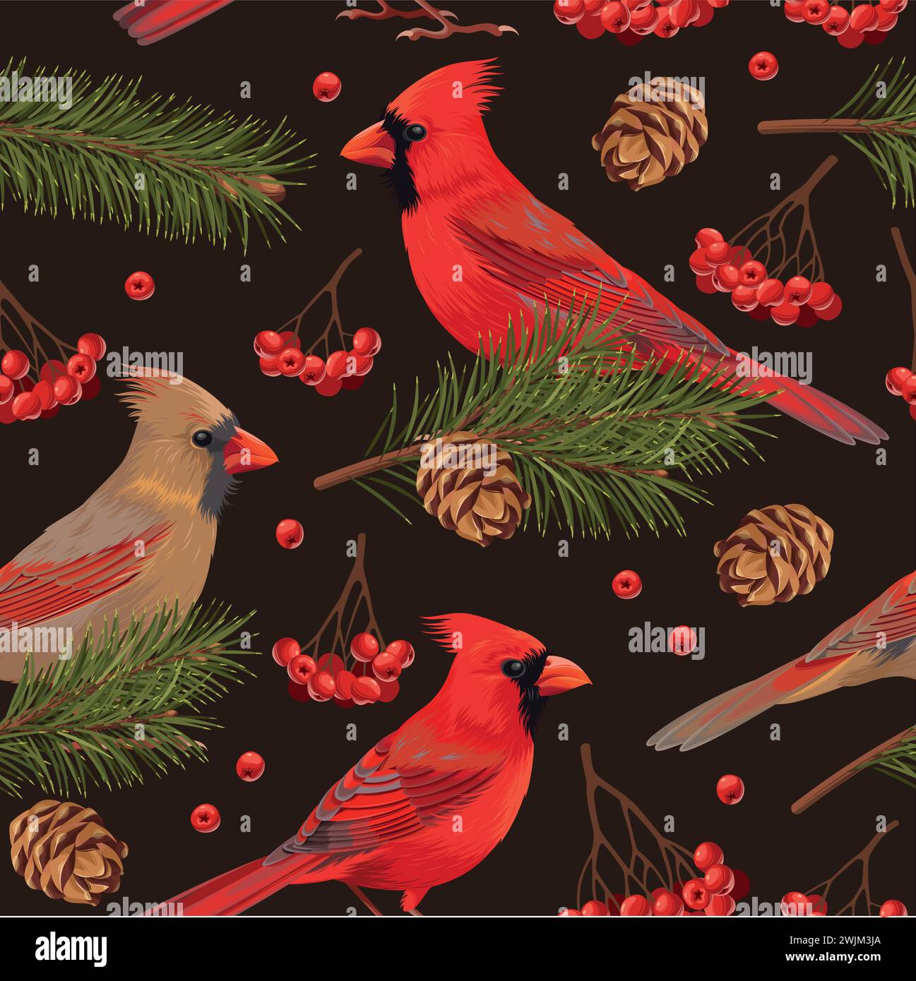 Seamless cardinal and spruce Stock Vector Image & Art - Alamy