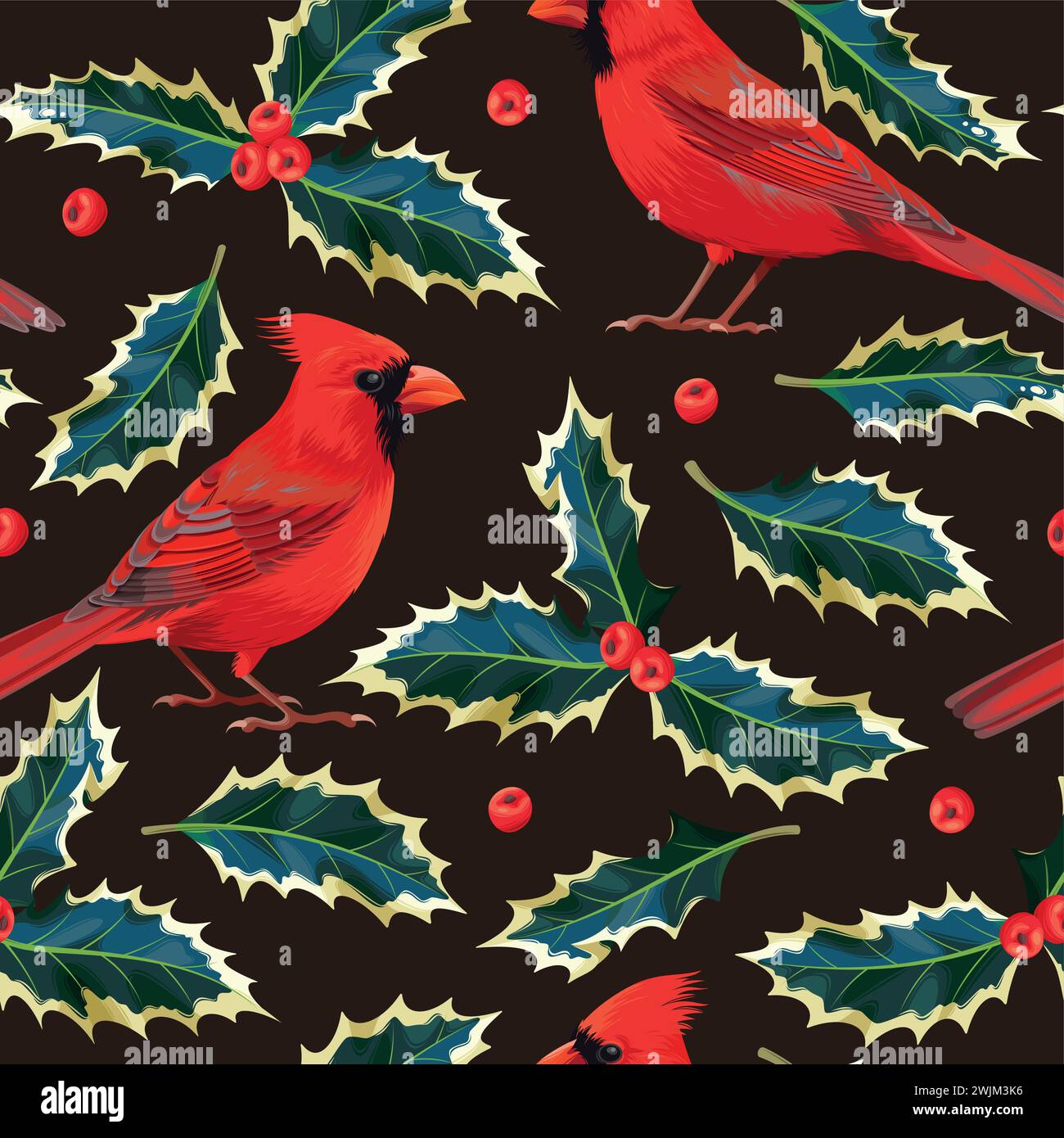 Seamless cardinal and holly Stock Vector Image & Art - Alamy
