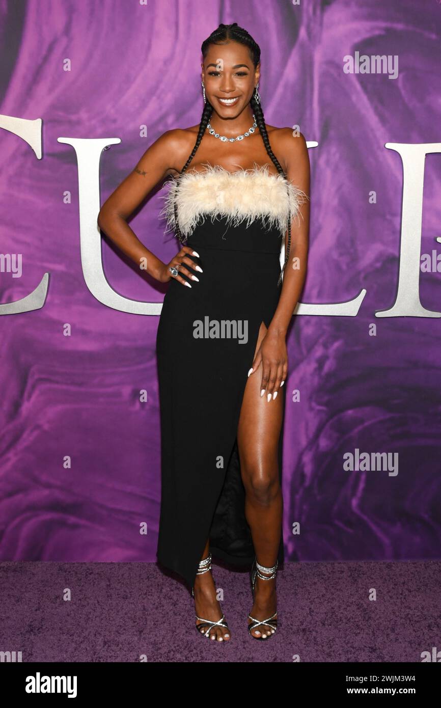 New York, USA. 15th Feb, 2024. Alise Willis attending Tyler Perry's Mea ...