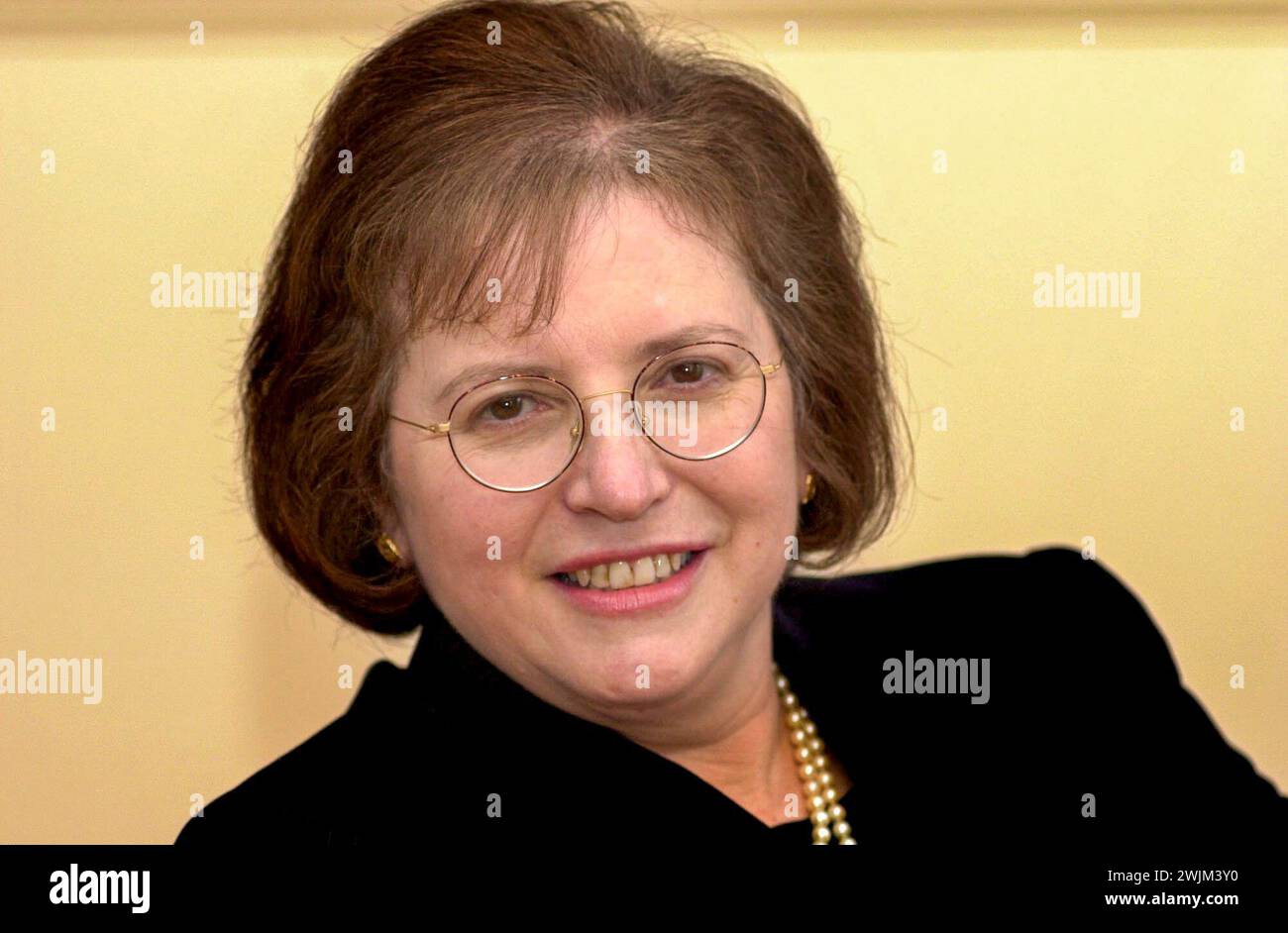 Susan Rice Chief Executive Officer of Lloyds TSB, pictured at the ...