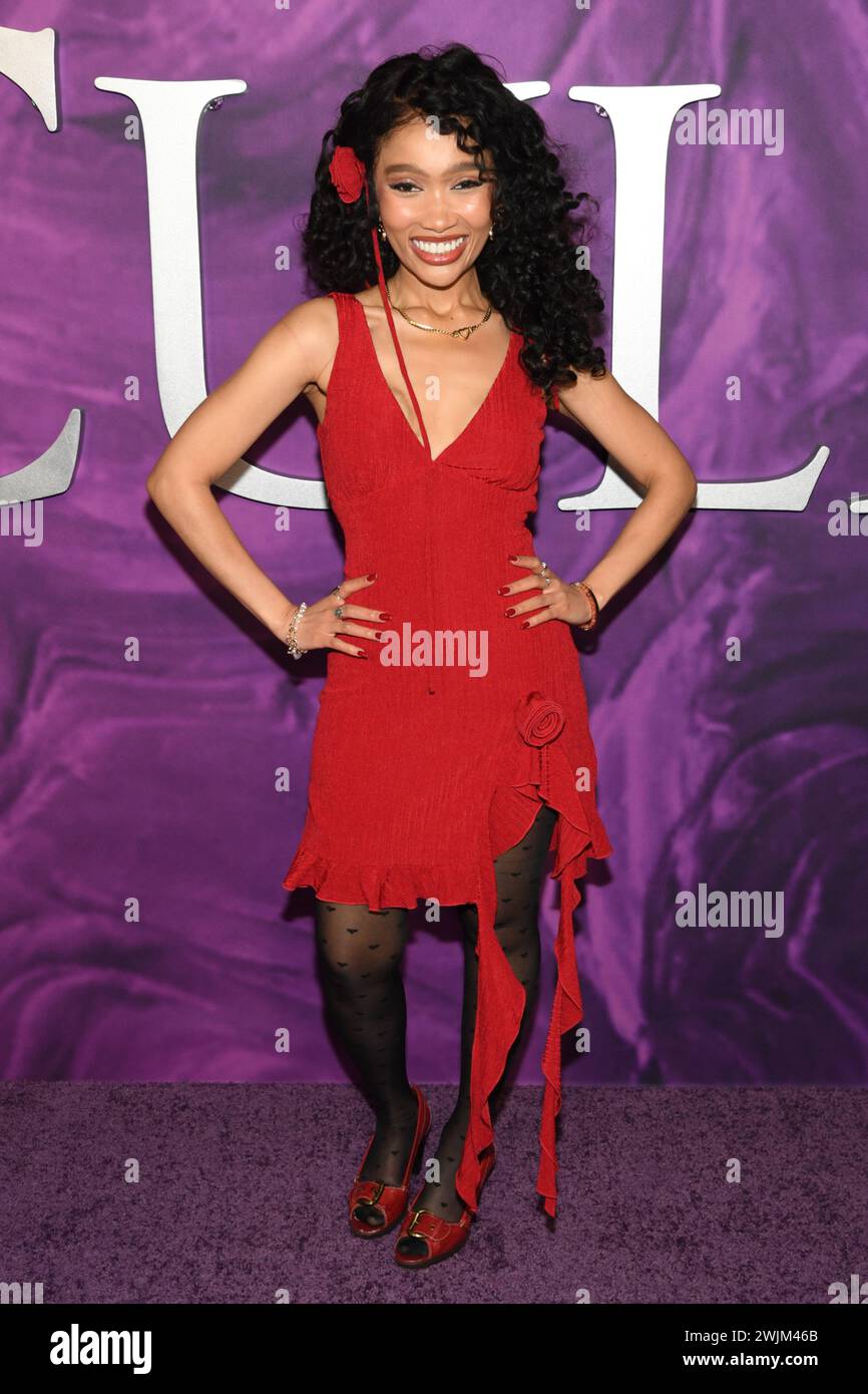 New York, USA. 15th Feb, 2024. Hanani Taylor attending Tyler Perry's ...