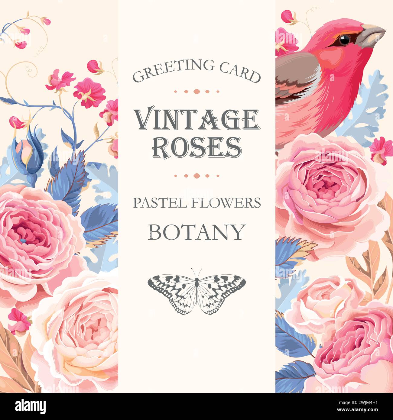 Bud finch Stock Vector Images - Alamy