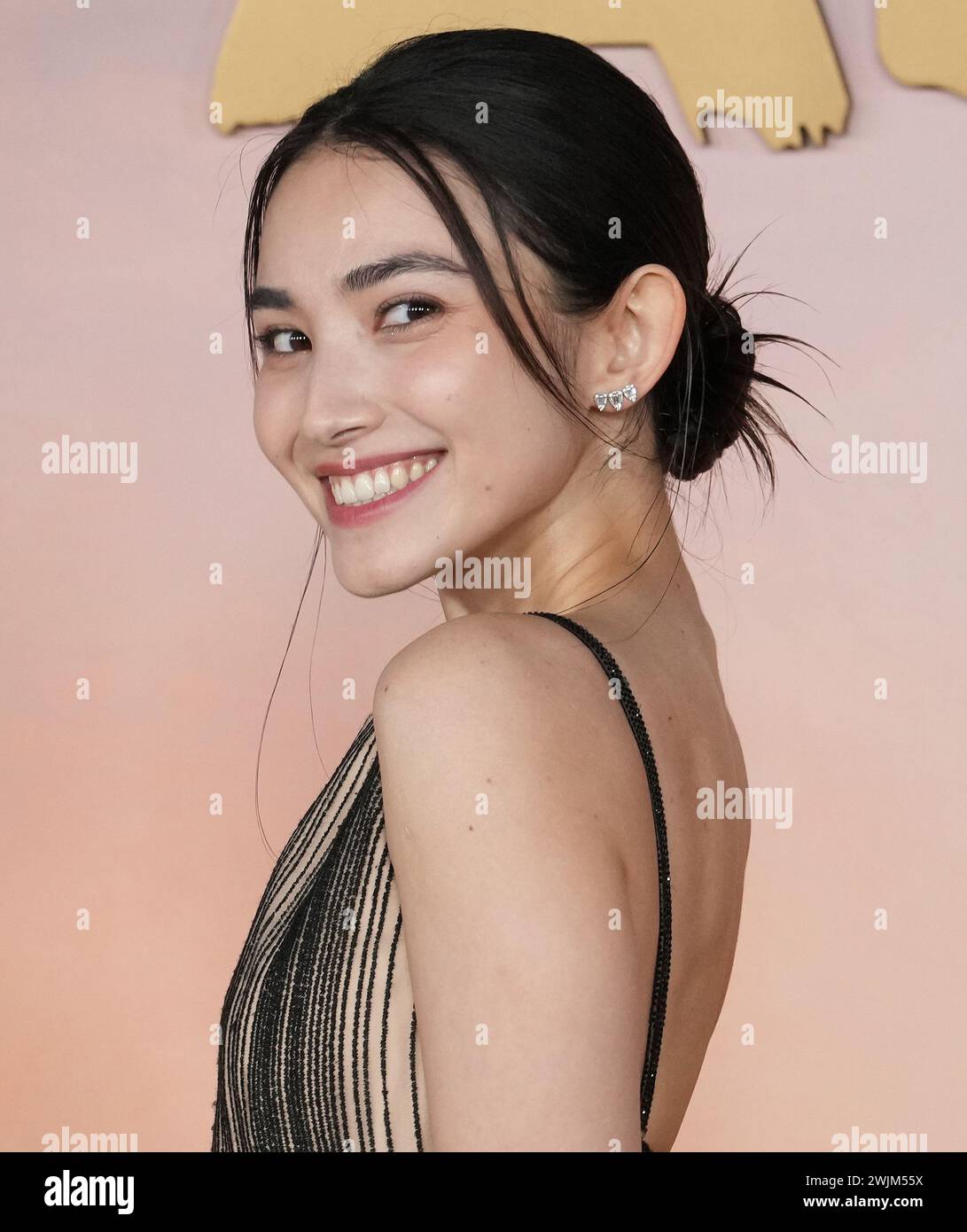 Los Angeles, USA. 15th Feb, 2024. Maria Zhang arrives at the Netflix's ...